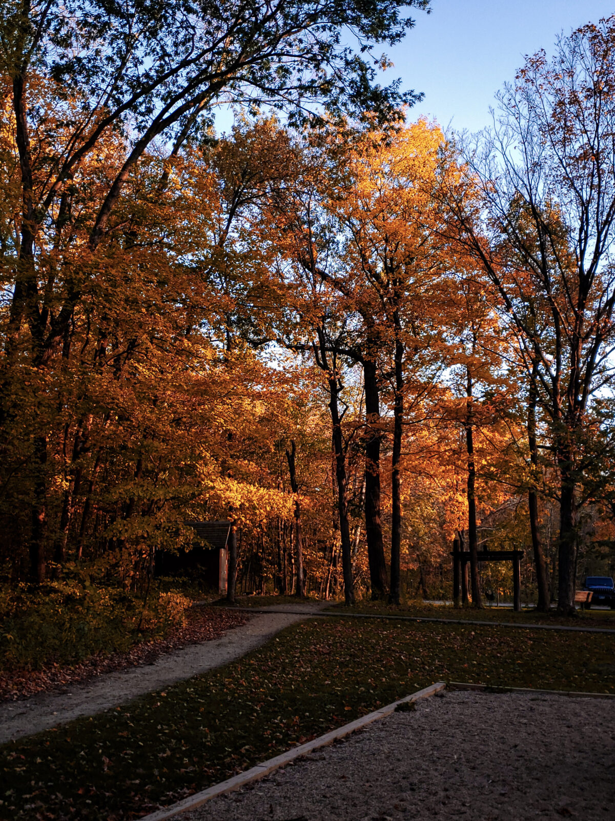 15 Best Trails for Hiking in MN for Family Adventure