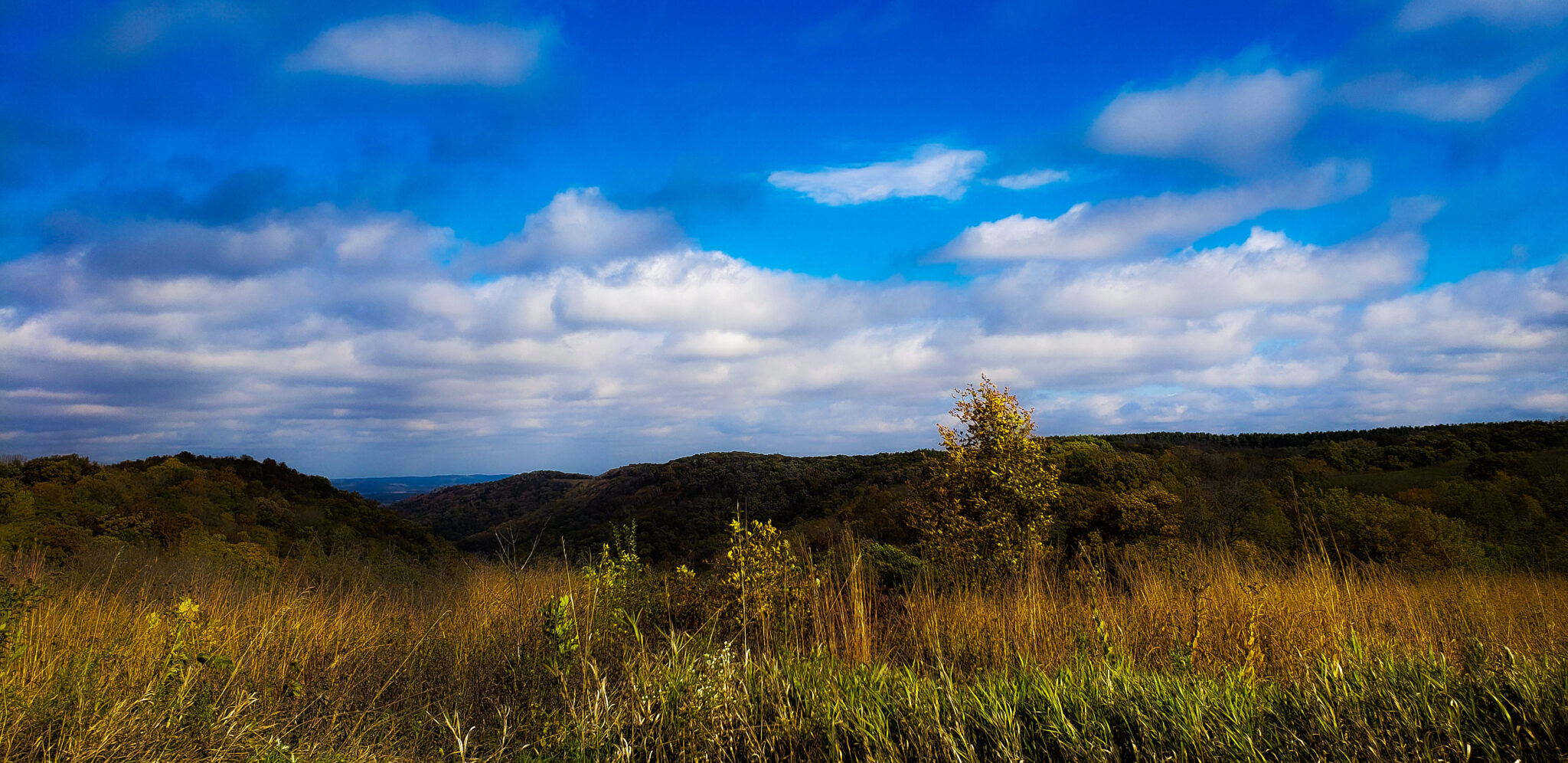 Top Scenic Drives For Fall Colors In MN