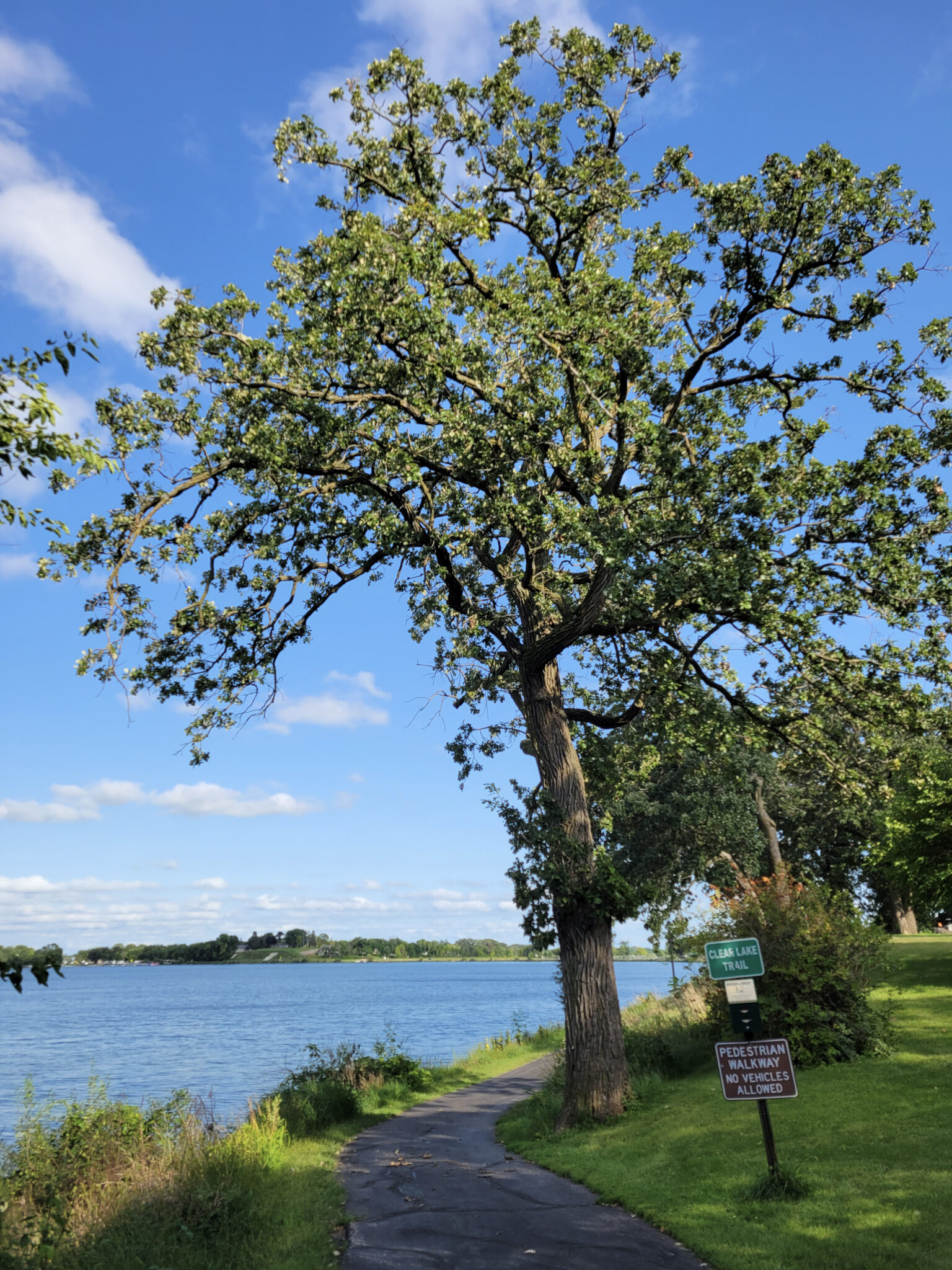 Best Things To Do In Waseca MN for a Family Adventure