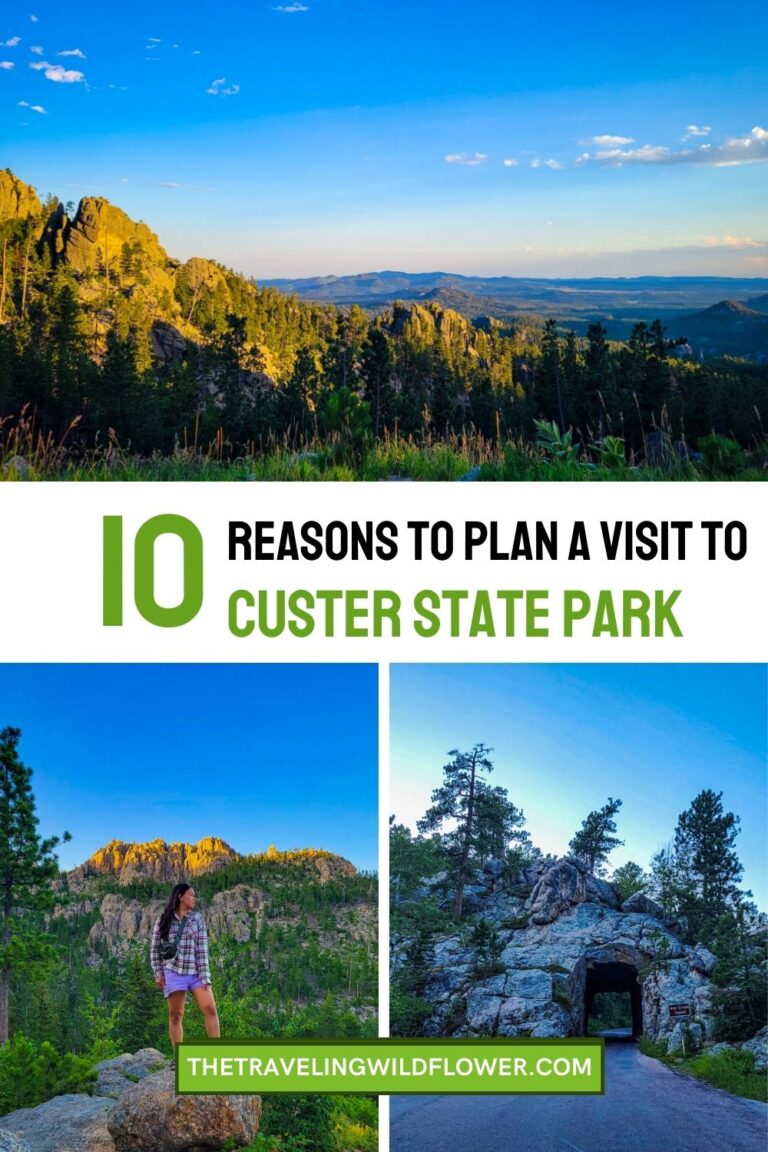 10 Reasons to Plan a Visit to Custer State Park in South Dakota