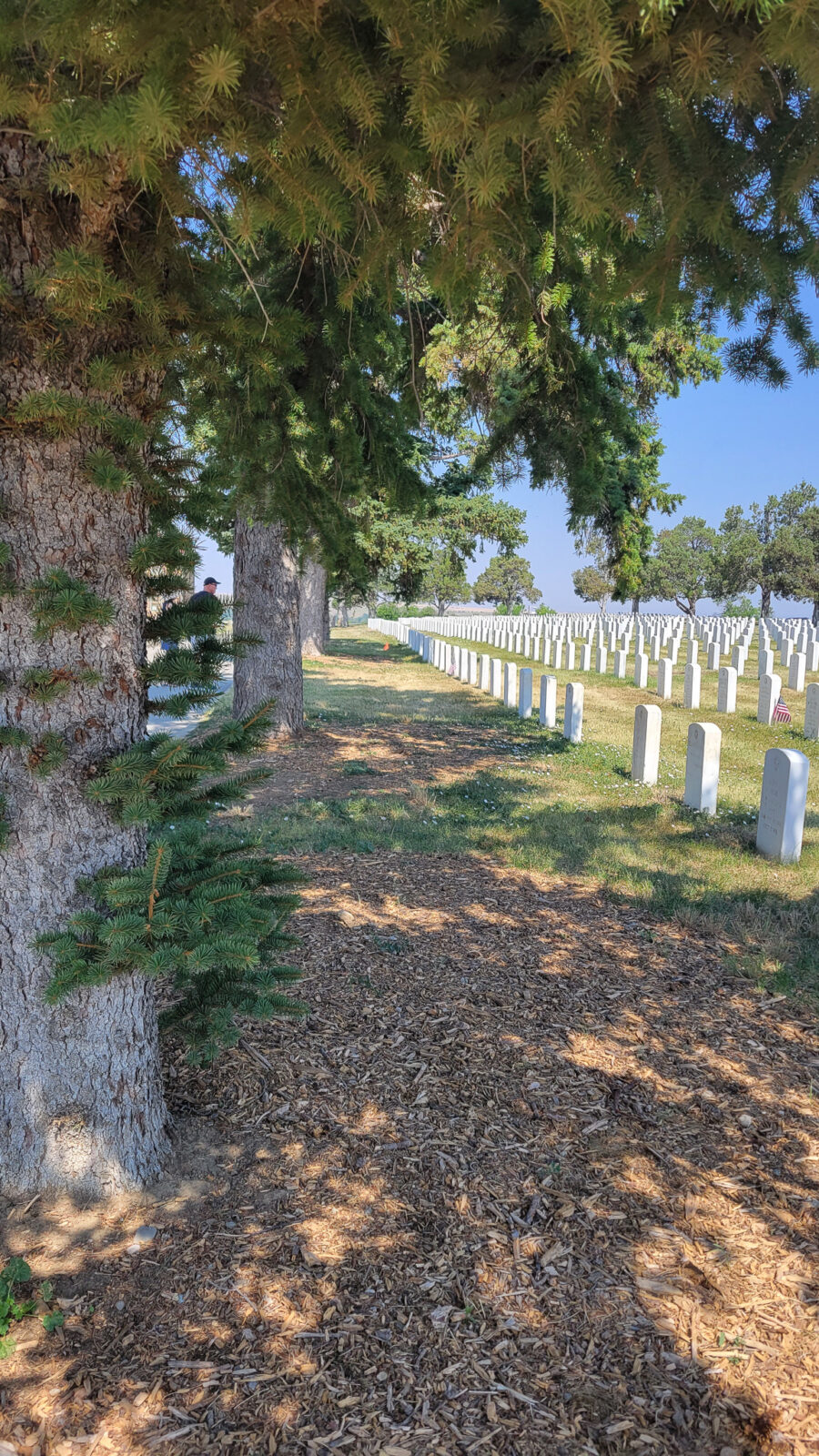 Camping National Parks Road Trip Out West in the United States