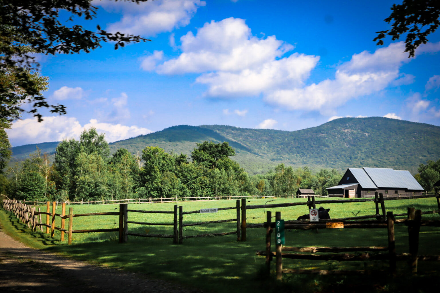 Travel Like a Local: The Ultimate Vermont Travel Bucket List