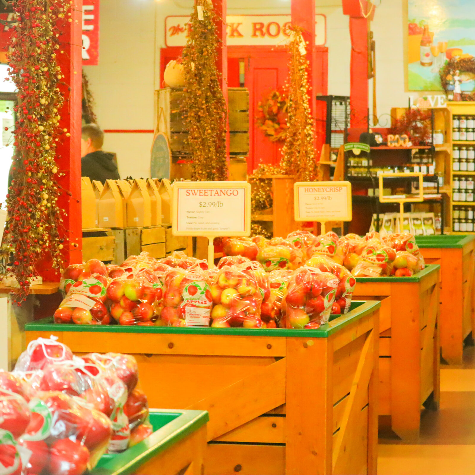 Fall Activities to Enjoy in Minnesota